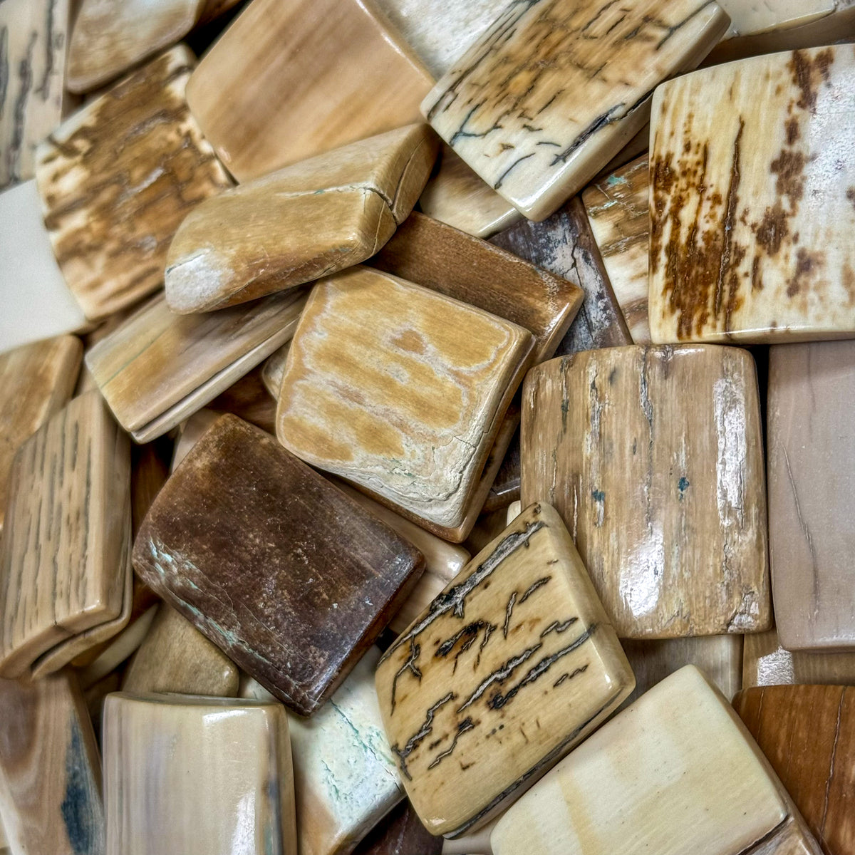 Mammoth Ivory Piece Assorted – Fish Creek Company