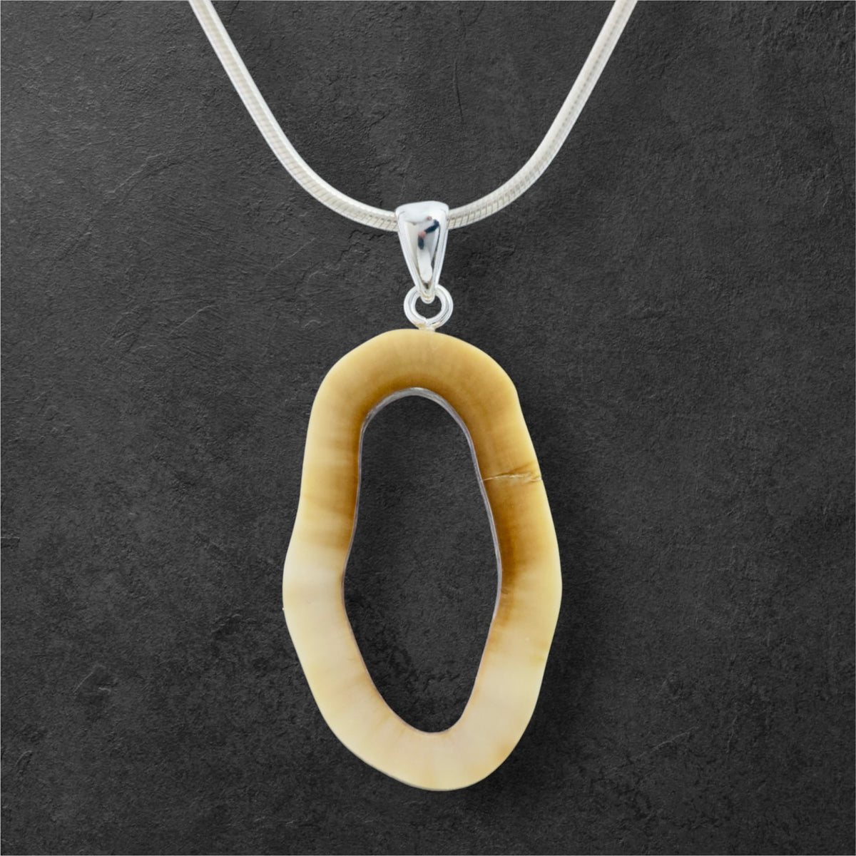 Ivory Circle Pendant – Fish Creek Company