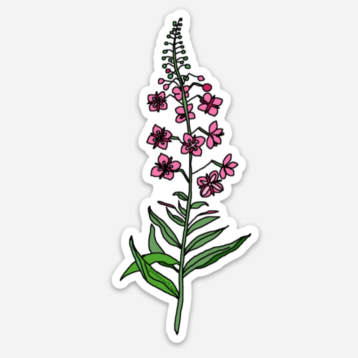 Fireweed Sticker – Fish Creek Company