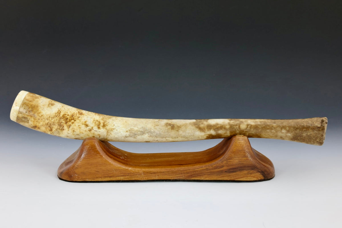 Tusk, Teeth, Skulls & Bones – Fish Creek Company