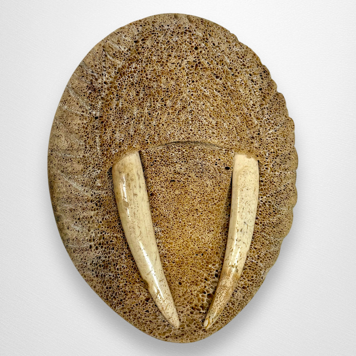 Alaska Whalebone Carving – Fish Creek Company