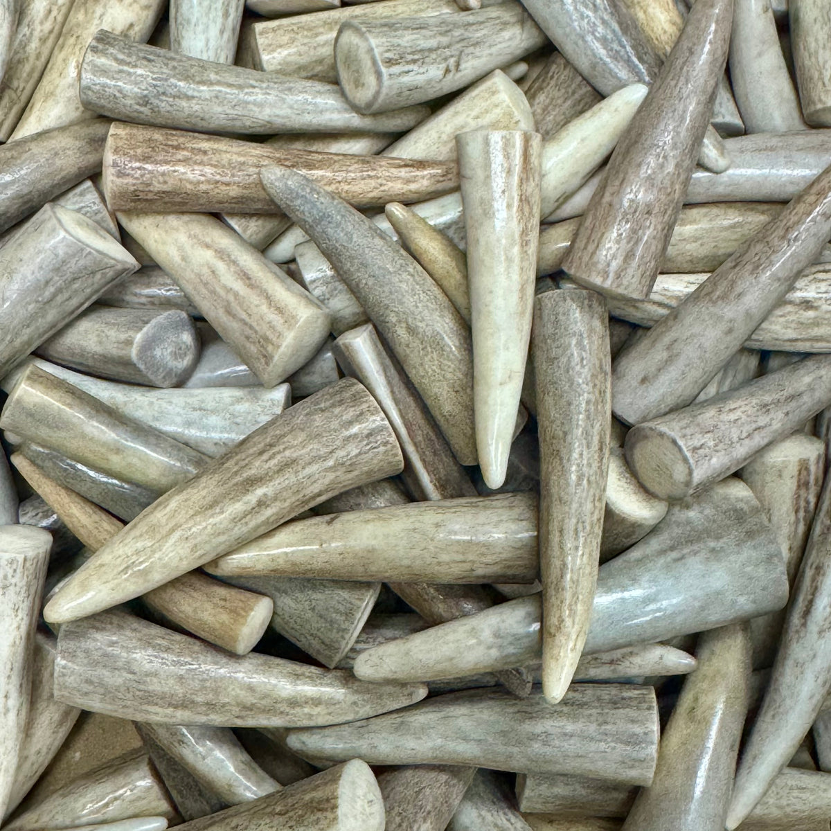 Antler Tips – Fish Creek Company
