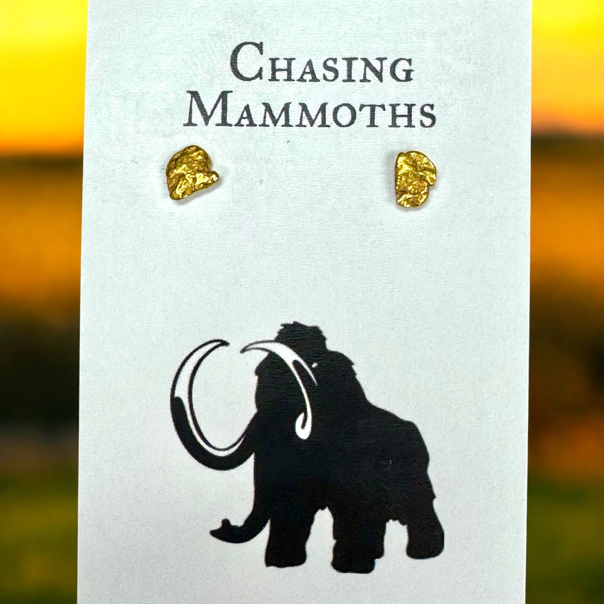 Gold Nugget Post Earrings – Fish Creek Company