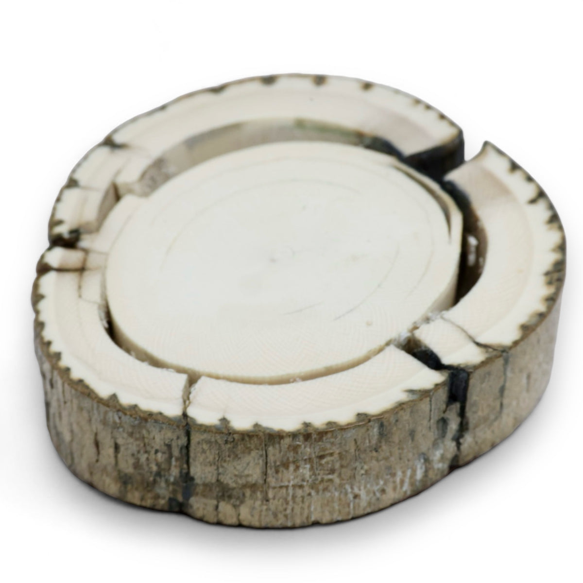Mammoth Ivory Slice – Fish Creek Company