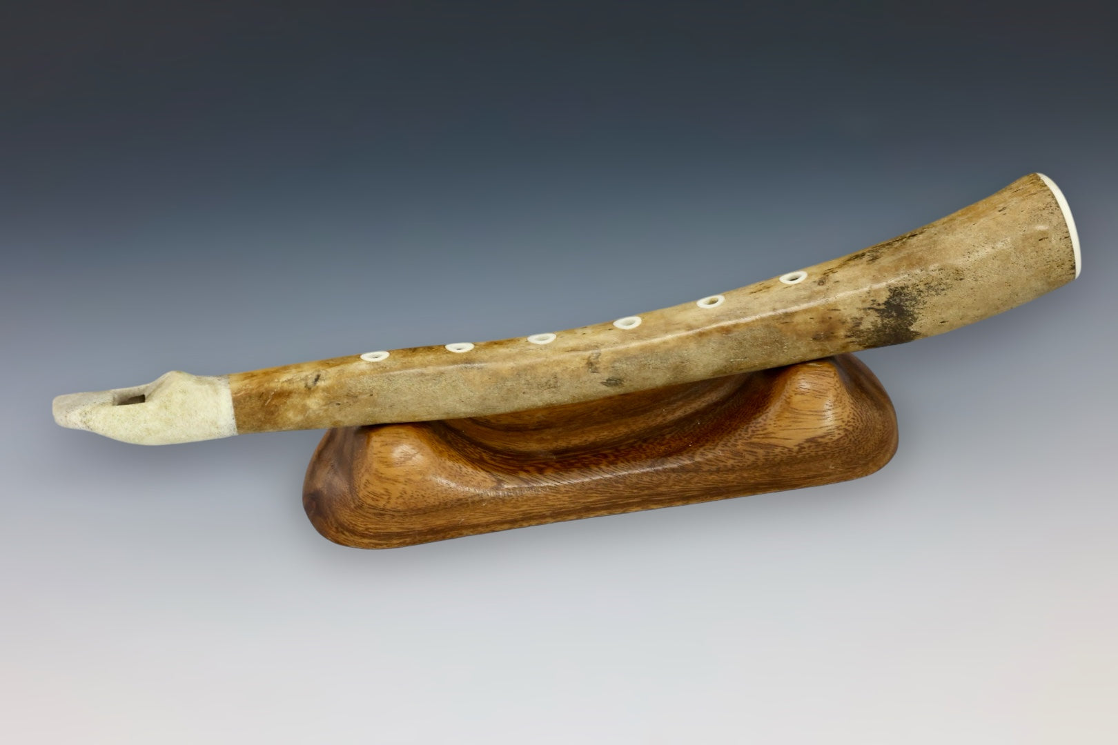 Tusk, Teeth, Skulls & Bones – Fish Creek Company