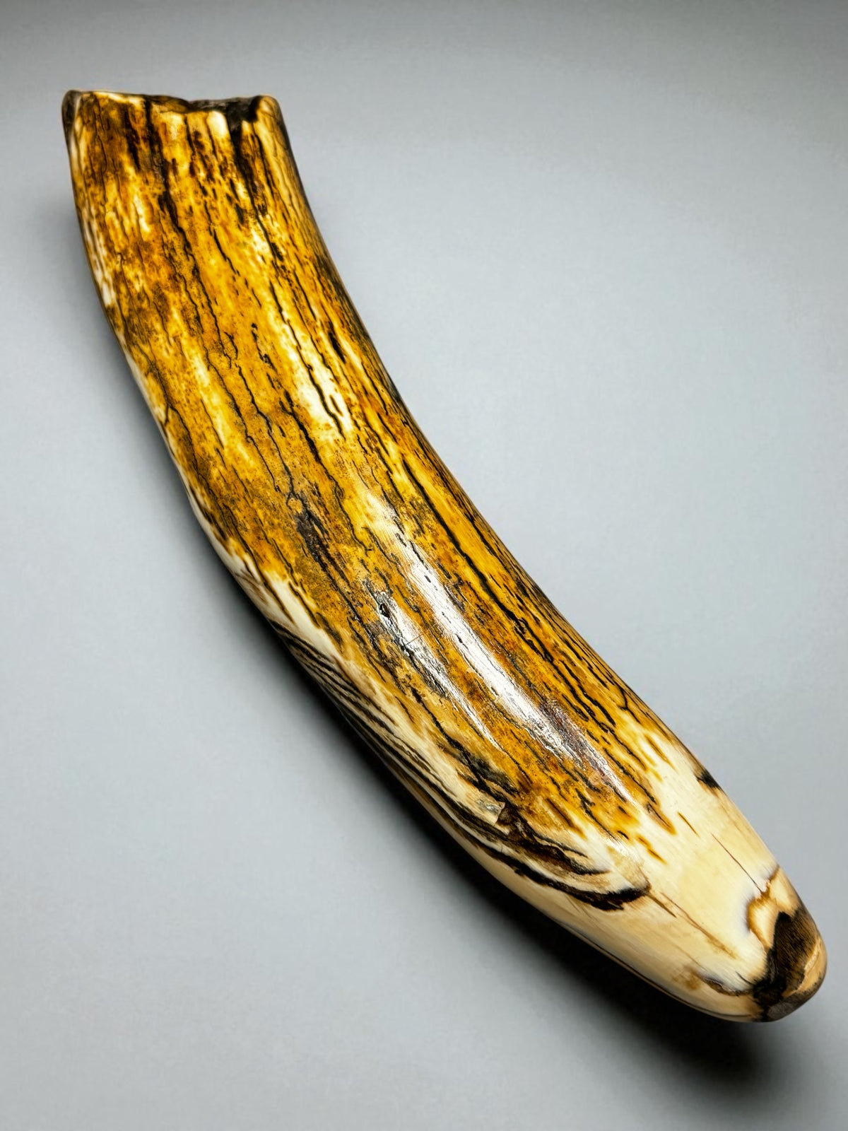 Mammoth Ivory Tusk – Fish Creek Company