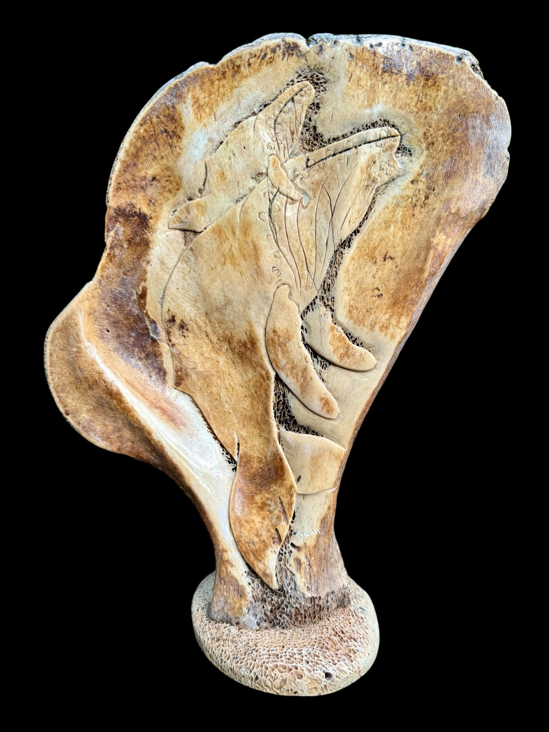 Fossil Whalebone Carving – Fish Creek Company