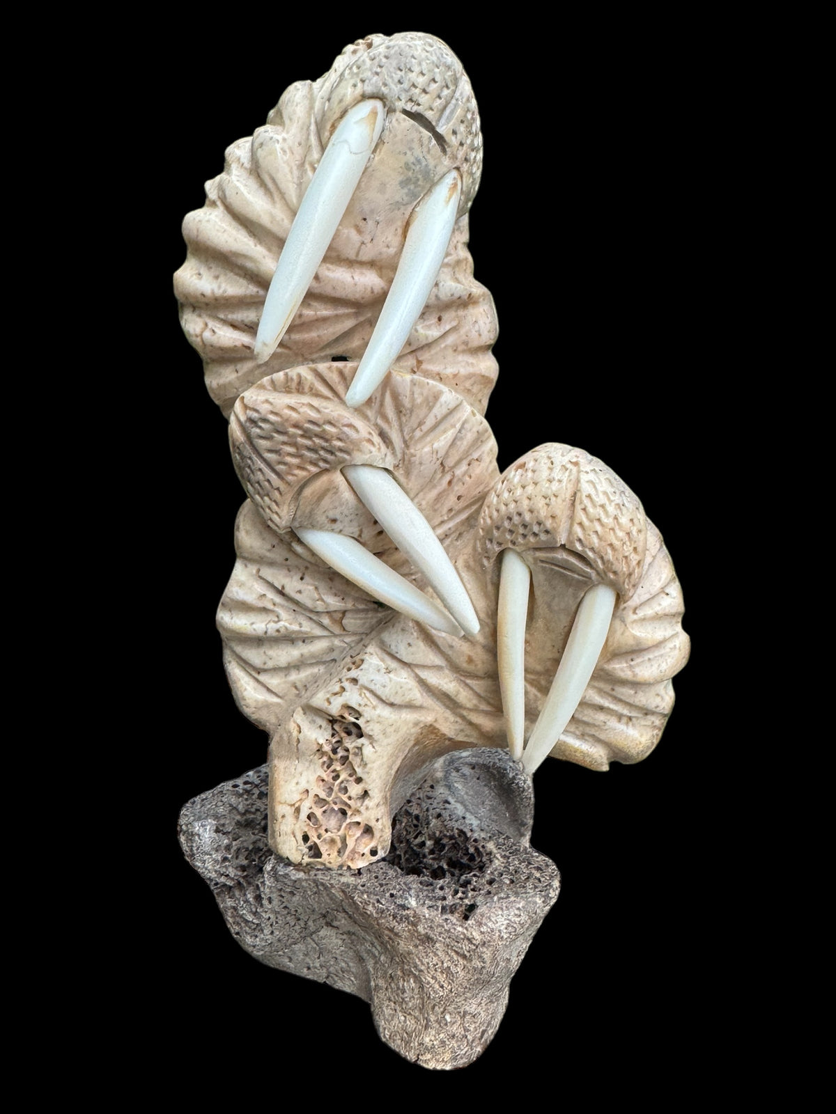 Alaska Walrus Jawbone Carving – Fish Creek Company