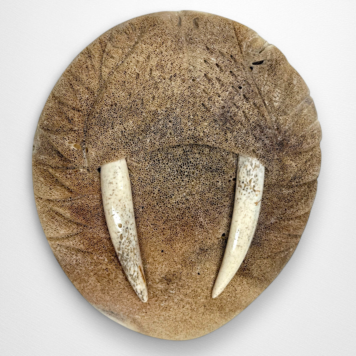 Alaska Whalebone Carving – Fish Creek Company