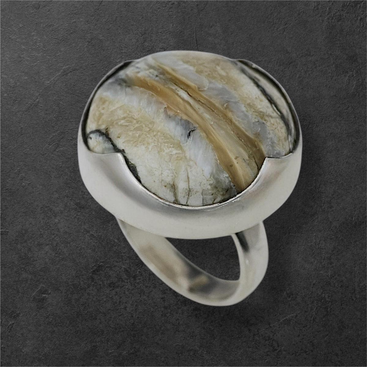 Mammoth Tooth Ring - Size 6 – Fish Creek Company