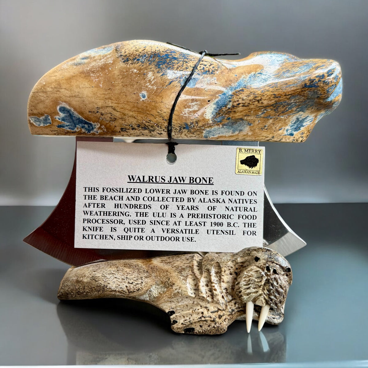 Alaska Walrus Rib Bone Ulu for Sale – Fish Creek Company