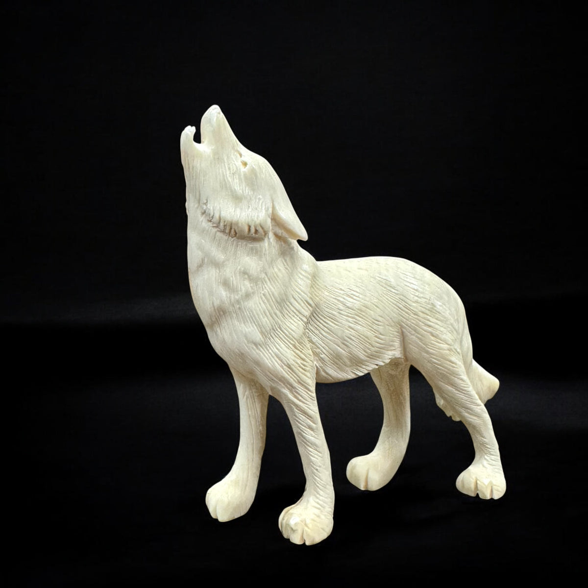 Ivory Wolf Carving – Fish Creek Company