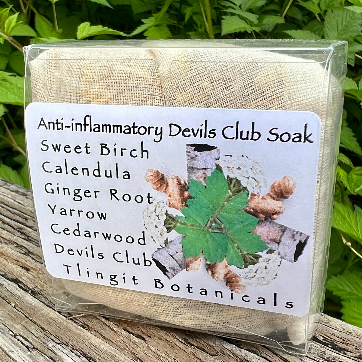 Devil's Club Anti Inflammatory Soak – Fish Creek Company