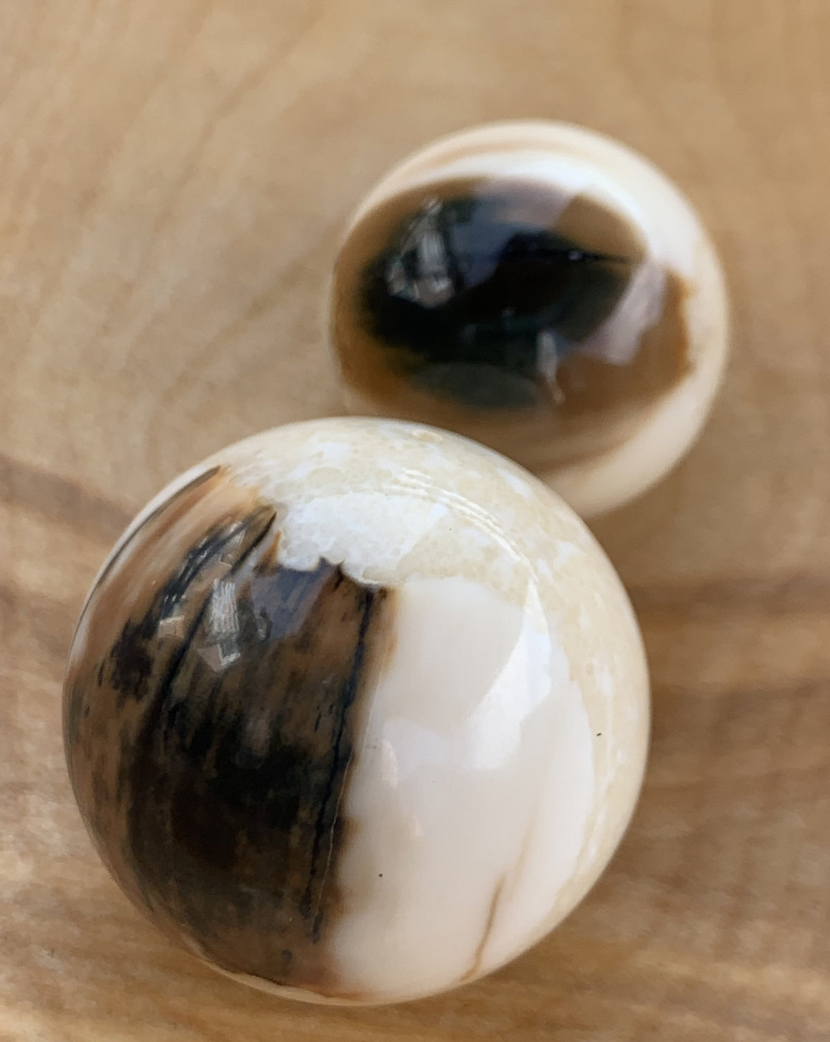 Walrus Ivory Beads Premium Color – Fish Creek Company