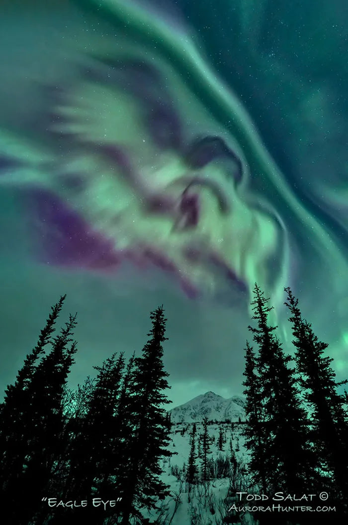 Eagle Eye Photograph – Fish Creek Company