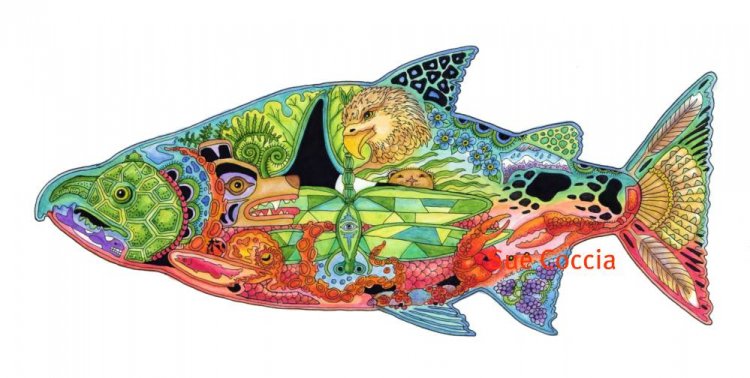Sue Coccia Art – Fish Creek Company