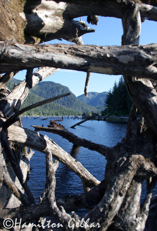 Connel Lake – Fish Creek Company