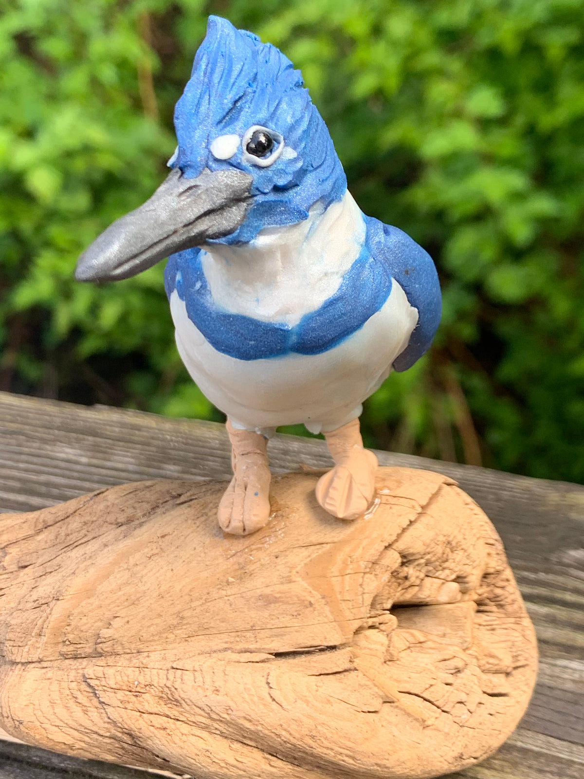 Blue Jay – Fish Creek Company