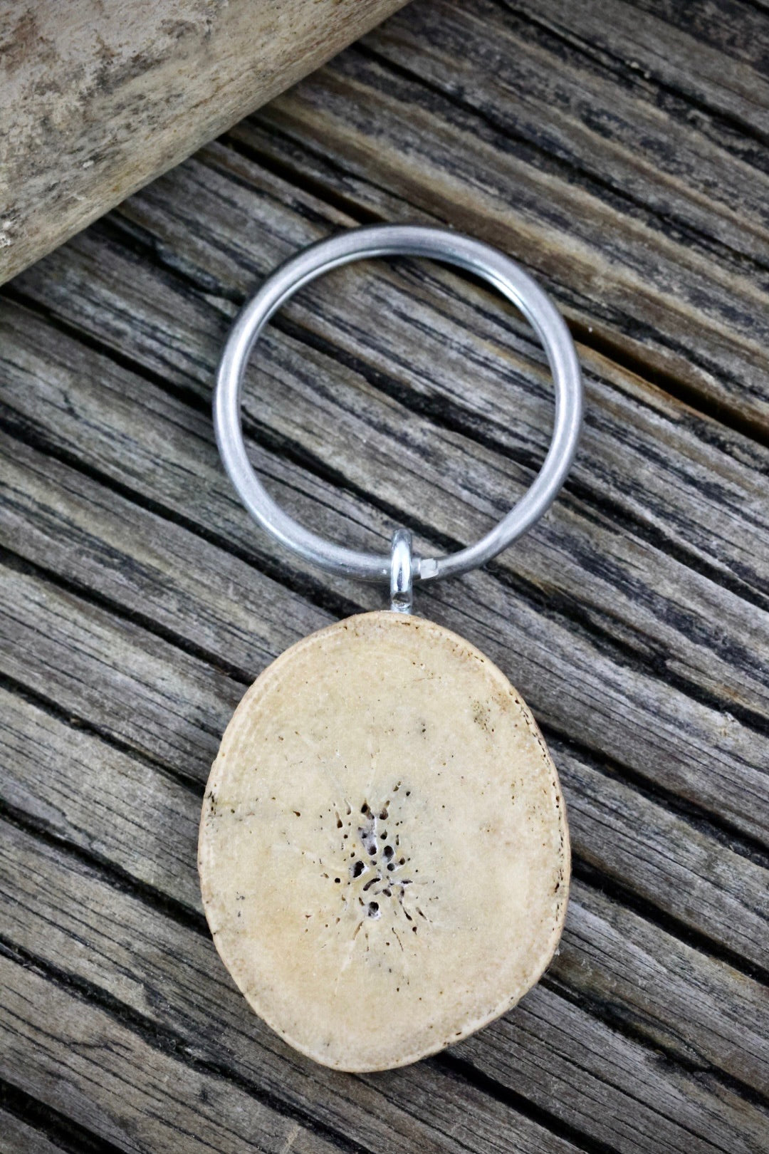 Fossil Oosik Key Chain – Fish Creek Company