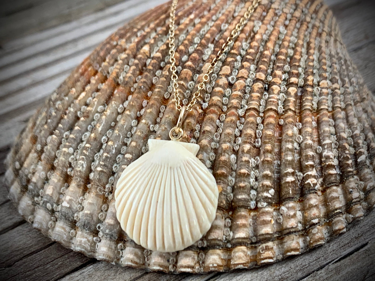 Shell Pendant – Fish Creek Company